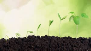 The 7 Stages of Process • Counselling Tutor