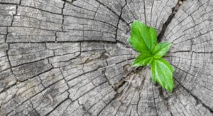 Unconditional Positive Regard • Counselling Tutor