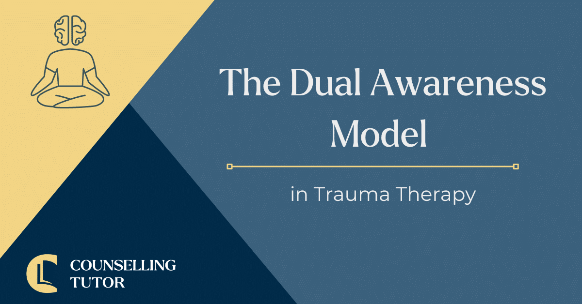 The Dual Awareness Model • Counselling Tutor